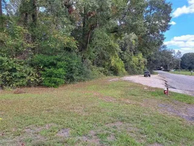0 OLD MILITARY ROAD, MOUNT VERNON, AL 36560 Vacant Land For Sa.