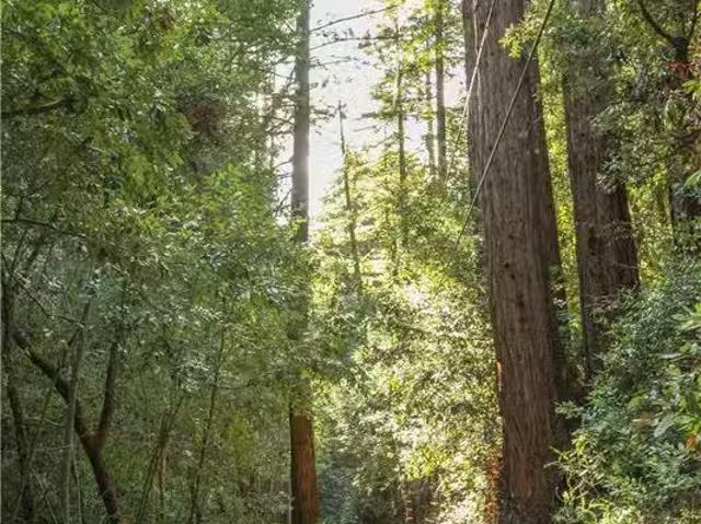 0 OLD MILL ROAD, FELTON, CA 95018