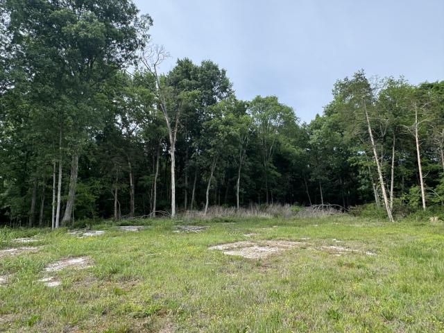 0 Old Nashville Dirt Rd