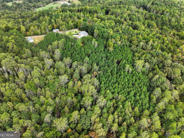 0 Old Pleasant Valley Rd, Talking Rock, GA 30175 | MLS #10733