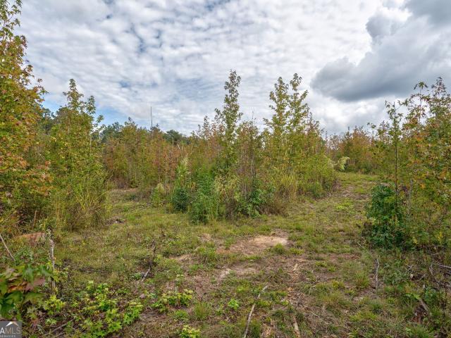 0 Old Salem Rd Tract 2, 3, 4