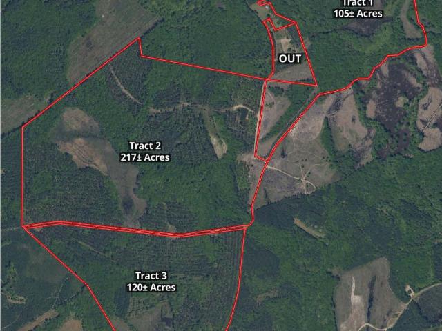 0 Old Savannah Road TRACT 2
