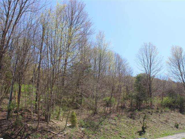 0 Old State Route 22