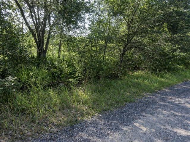 0 Olsen St, New Port Richey, FL 34654 | MLS #TB8480 | Compass