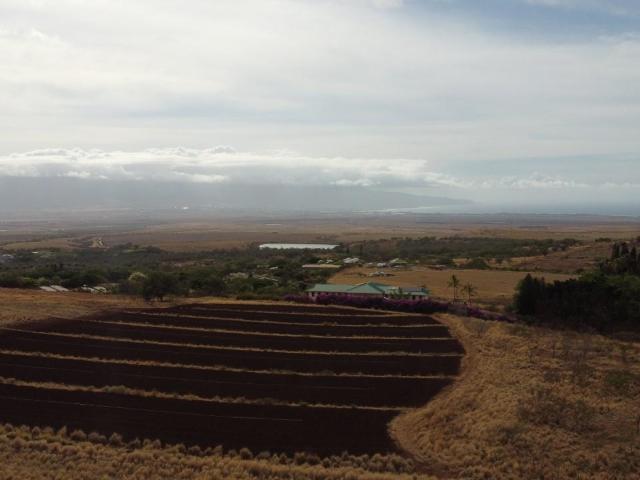 0 Omaopio Rd, Kula, HI 96790 | MLS #402559