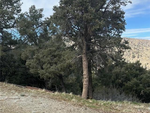 0 Orchard Dr, Wrightwood, CA 92397 | MLS #HD26045