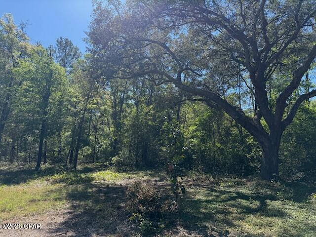 0 Orchid Ln, Freeport, FL 32439 | MLS #784408 | Compass