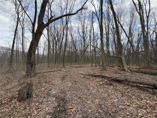 0 Orangeville Road