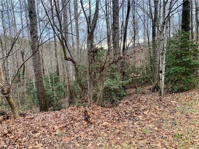 0 Autumn Pl Ln, North Wilkesboro, NC 28659 | MLS #1165 | Compass