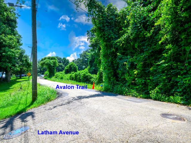 0 Avalon