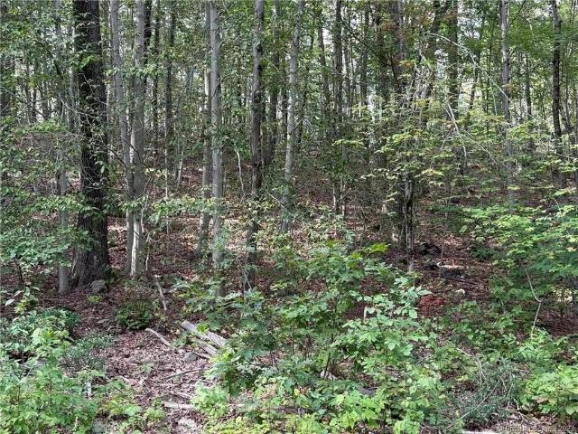 0 Above All Rd, Warren, CT 06754 | MLS #24136