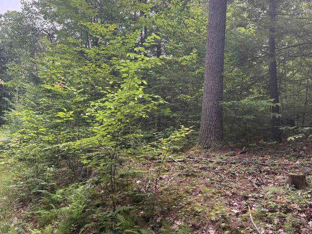 0 Access Road # MAP 18A LOT 15