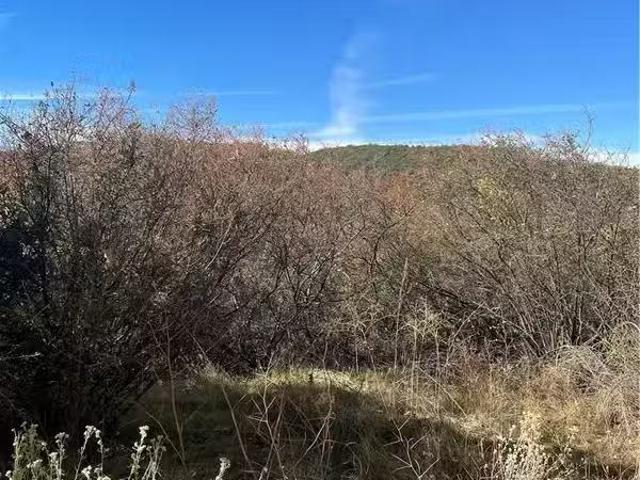 0 ACACIA ROAD, CEDAR GLEN, CA 92321