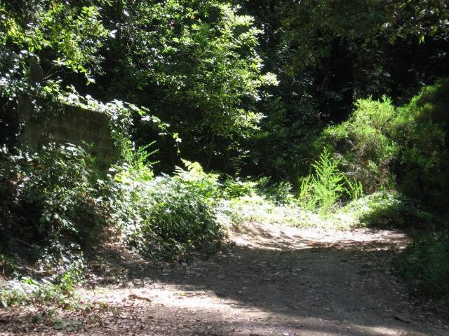 0 Acorn Dr, Boulder Creek, CA 95006 | MLS #ML81922