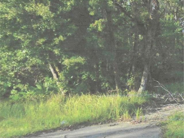 0 Adair Rd, Davenport, FL 33837 | MLS #A11874