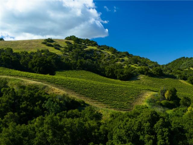 0 Adelaida Rd, Paso Robles, CA 93446 | MLS #NS26008
