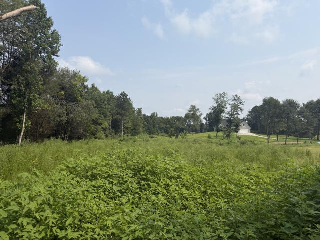 0 AEDC Lakeview Rd