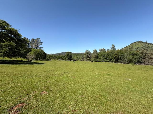 0 Airola Rd, Angels Camp, CA 95251 | MLS #224021 | Compass