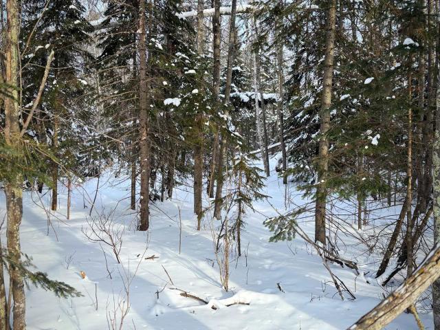 0 Airport Rd, Port Wing, WI 54865 | MLS #6123 | Compass