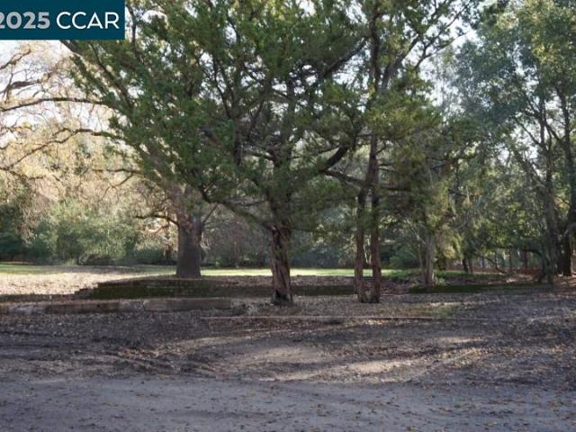 0 Alameda Diablo, CA 94528 | MLS #41110