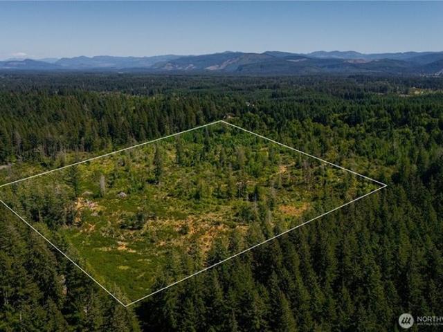 0 Algyer Rd SE, Rainier, WA 98576