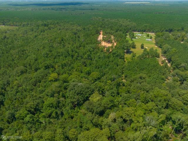 0 Alden Bridge Loop, Benton, LA 71006 | MLS #21319