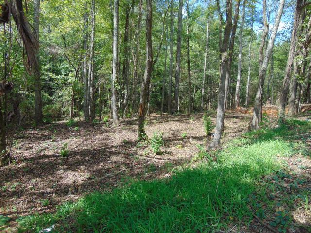 0 Alexander Springs Rd, Ethridge, TN 38456 | MLS #3002