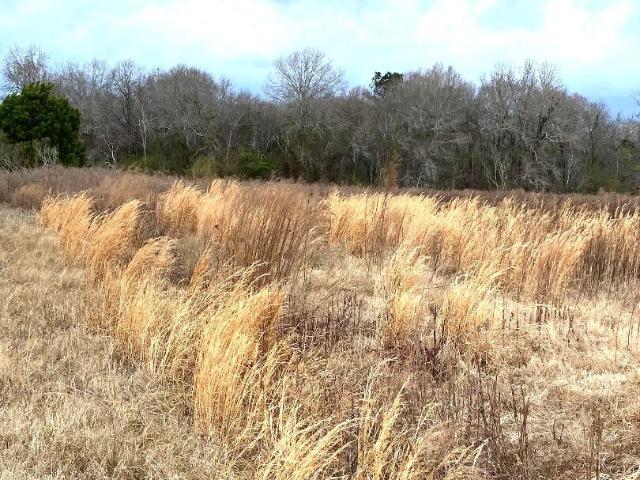 0 Allen Ranch Road