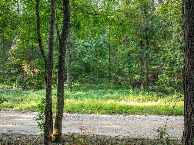 0 Allgood Road 12.59+/ acres