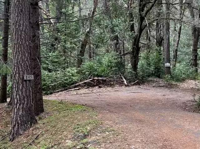 0 Alta Ravine Rd, Alta, CA 95701 MLS 224042706