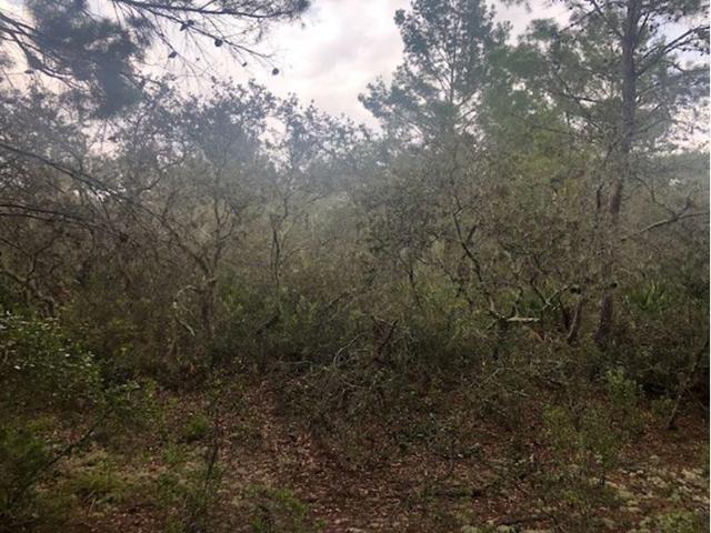 0 Alturas Babson Park Cut Off Rd, Lake Wales, FL 33859 | MLS #F10530