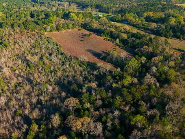 0 An County Road 441, Palestine, TX 75803 | MLS #25017 | Compass