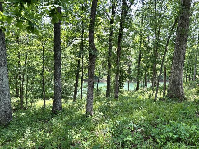 0 Anchor Bend Dr