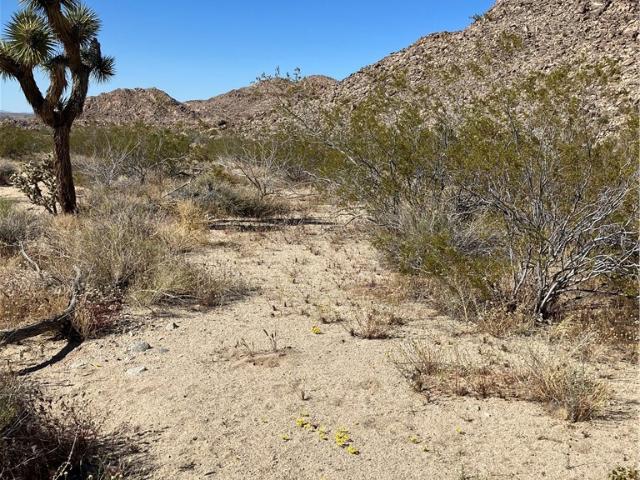 0 Anaconda Dr, Joshua Tree, CA 92252 | MLS #RS24089
