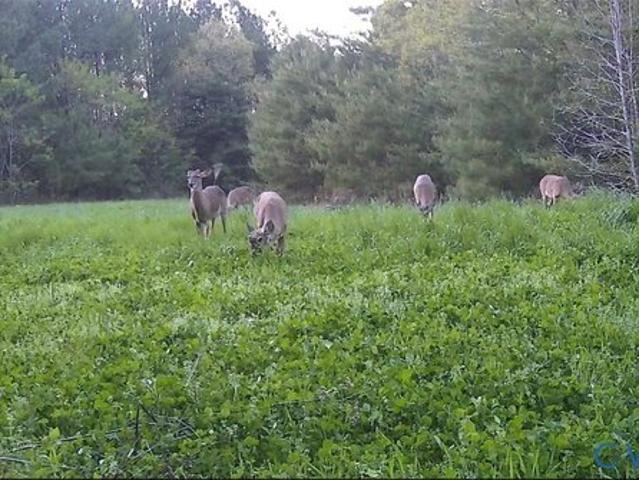 0 and 00 Nesting Rd, Jamaica, VA 23079