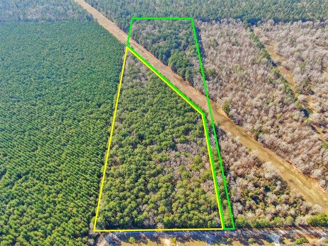 0 and 00 Pelican Rd, Shepherd, TX 77371