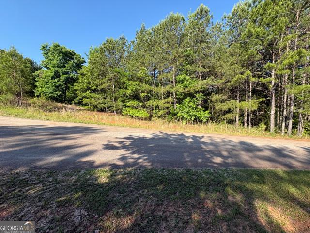 0 Anna Claire Court LOT 11