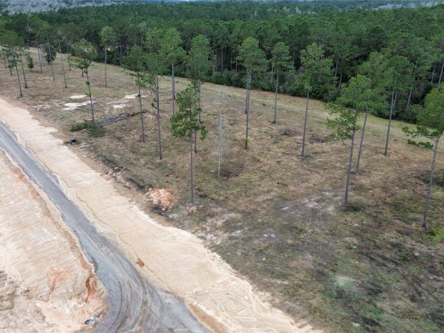 0 Anna Grace Rd, Livingston, TX 77351 | MLS #88566