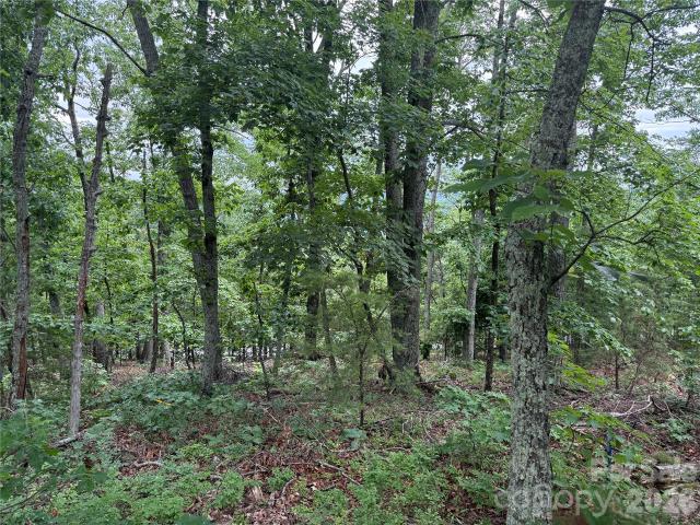 0 Arbra Mountain Way # 54