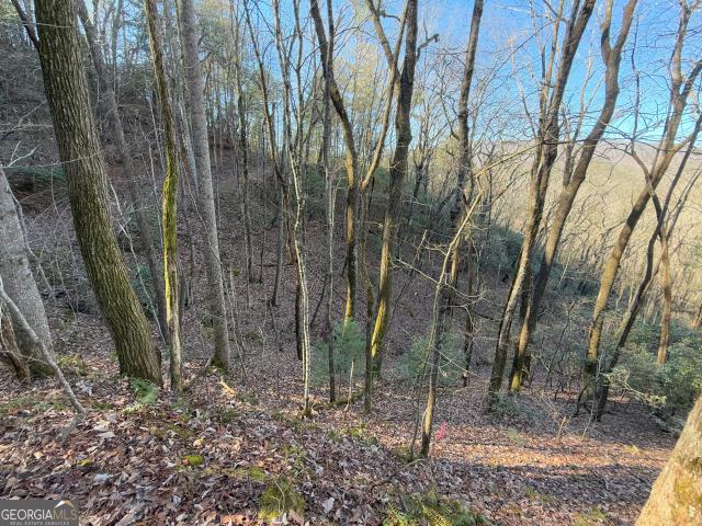 0 Arbutus Trail