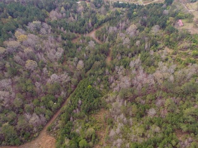 0 Armstrong Mtn Lane # 9.9acres