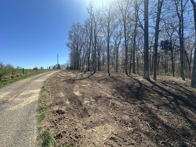 0 Arnold Thomas Rd, Silver Point, TN 38582 | MLS #3139