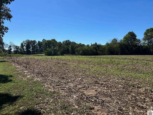 0 Arnett Ln Lane # Proposed Tract B
