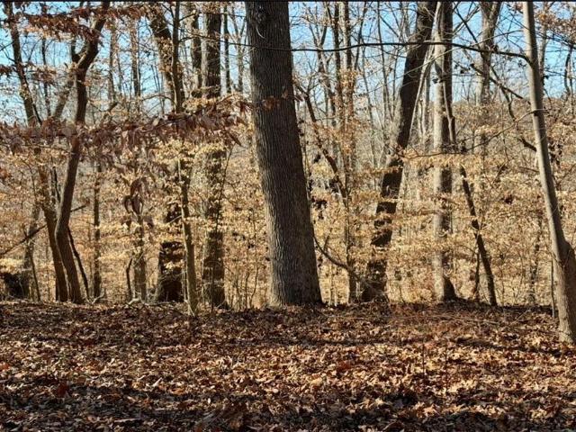0 Arrowhead Dr, Lavonia, GA 30553 | MLS #7716