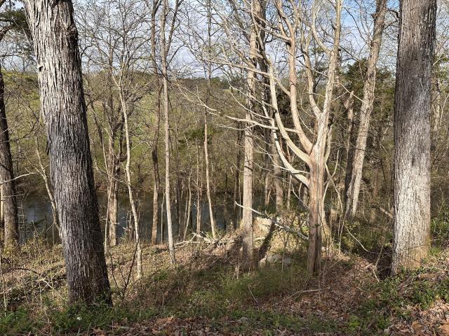 0 Arrowhead Dr S, McMinnville, TN 37110 | MLS #3159