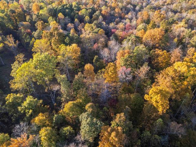 0 Askins Road, Fordsville, US, KY