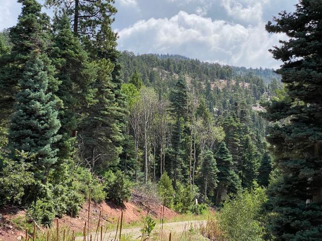 0 Aspen Bluff #5