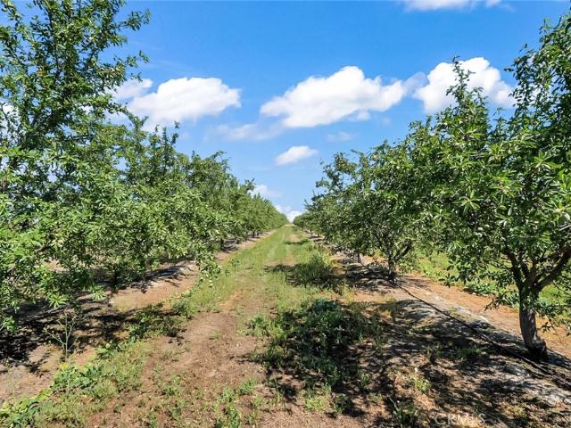 0 Buchanan Hollow Road