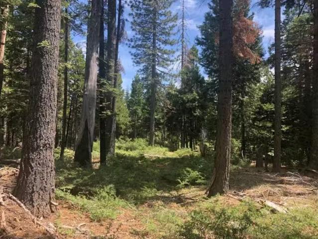 0 BUCKTHORNE LANE, NEVADA CITY, CA 95959 Vacant Land For Sale.