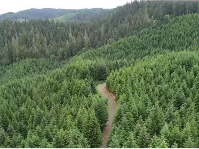 0 BUCK CREEK RD, DRAIN, OR 97435 Vacant Land For Sale MLS# 24.